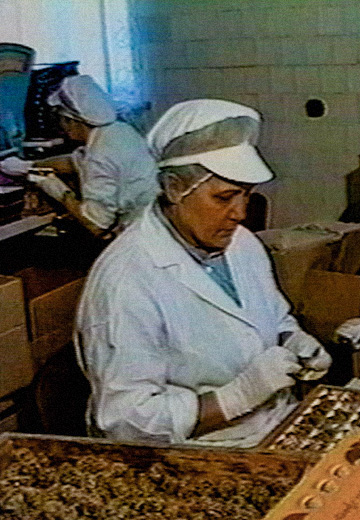 Lviv confectionery factory "Svitoch" - Suspilne Mediateka